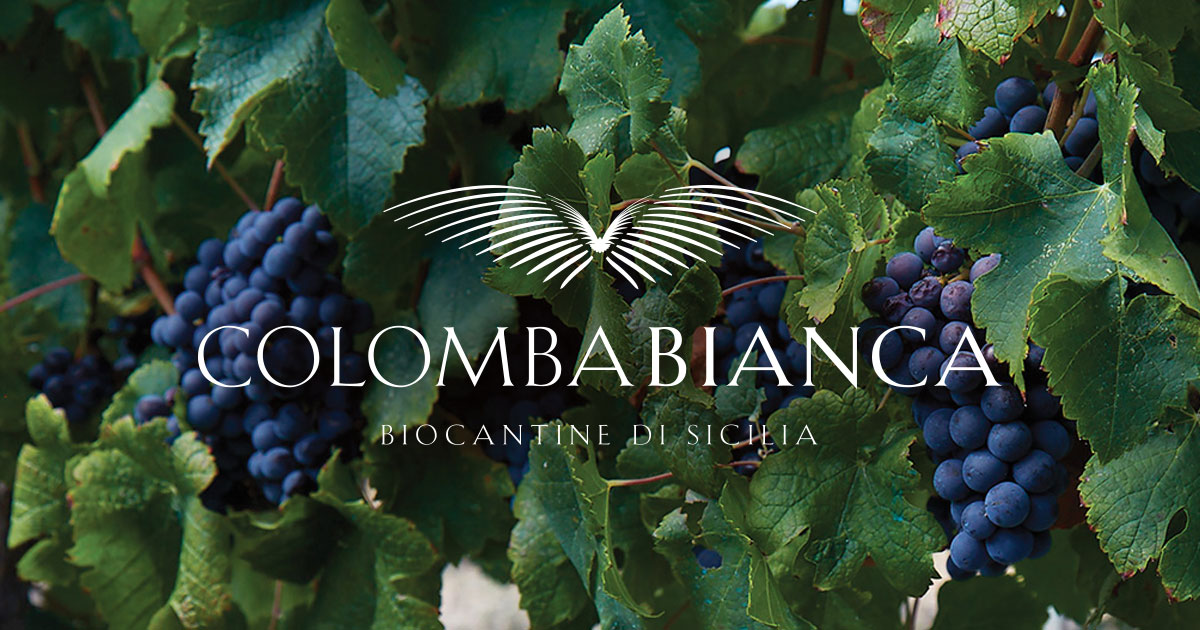 Contatti - Colomba Bianca - Biocantine di Sicilia